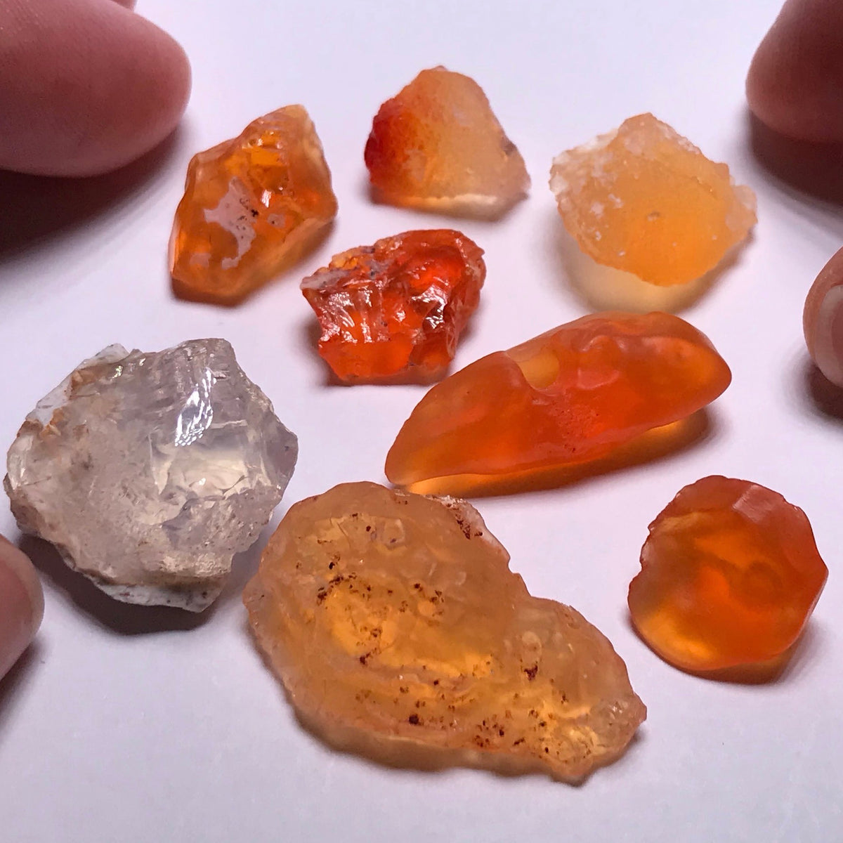 Mexican Fire Opal – Joe Henley Rough & Gemstones
