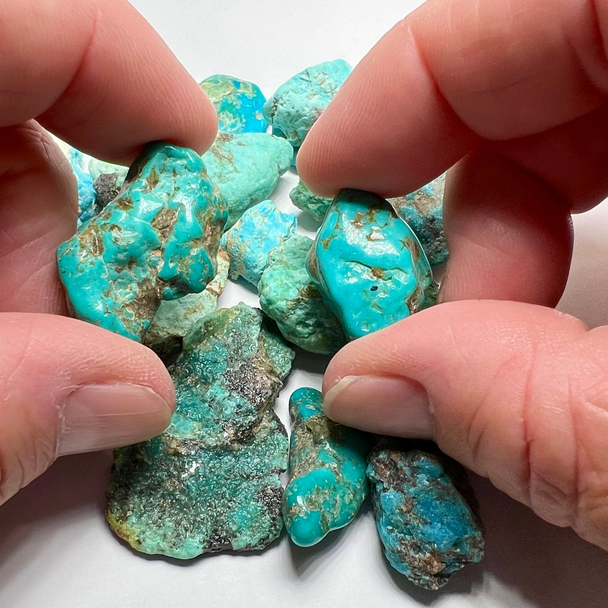 turquoise – Joe Henley Rough & Gemstones