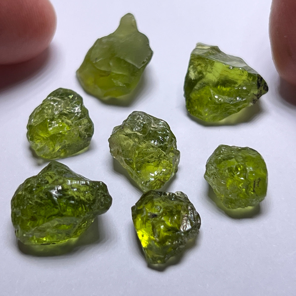 Peridot - Kenya – Joe Henley Rough & Gemstones