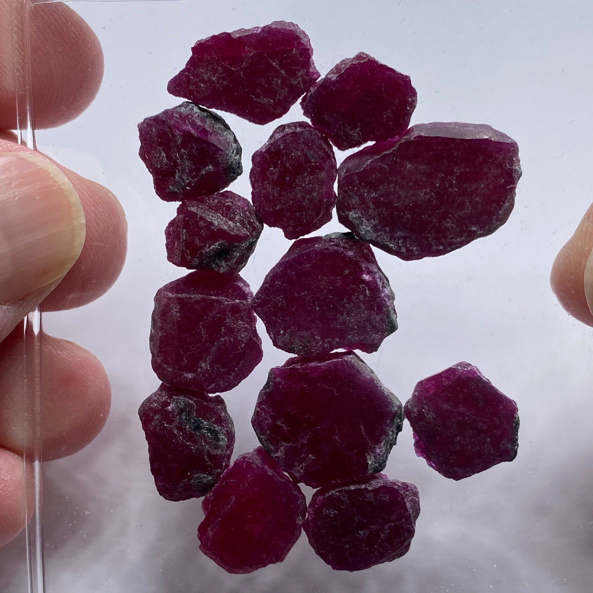 Ruby | Cab | Cabochon | Cab Rough | Cabbing Rough | Cabochon Rough ...