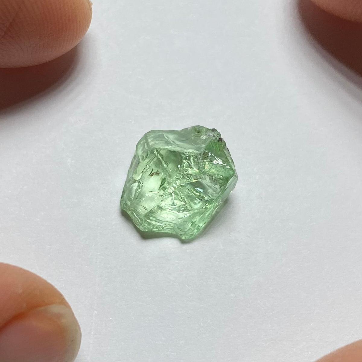 Merelani Mint Garnet | Facet Rough | Faceting Rough | Gem Rough | – Joe ...